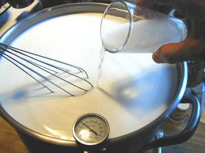 About Lipase Cheese Making Guide