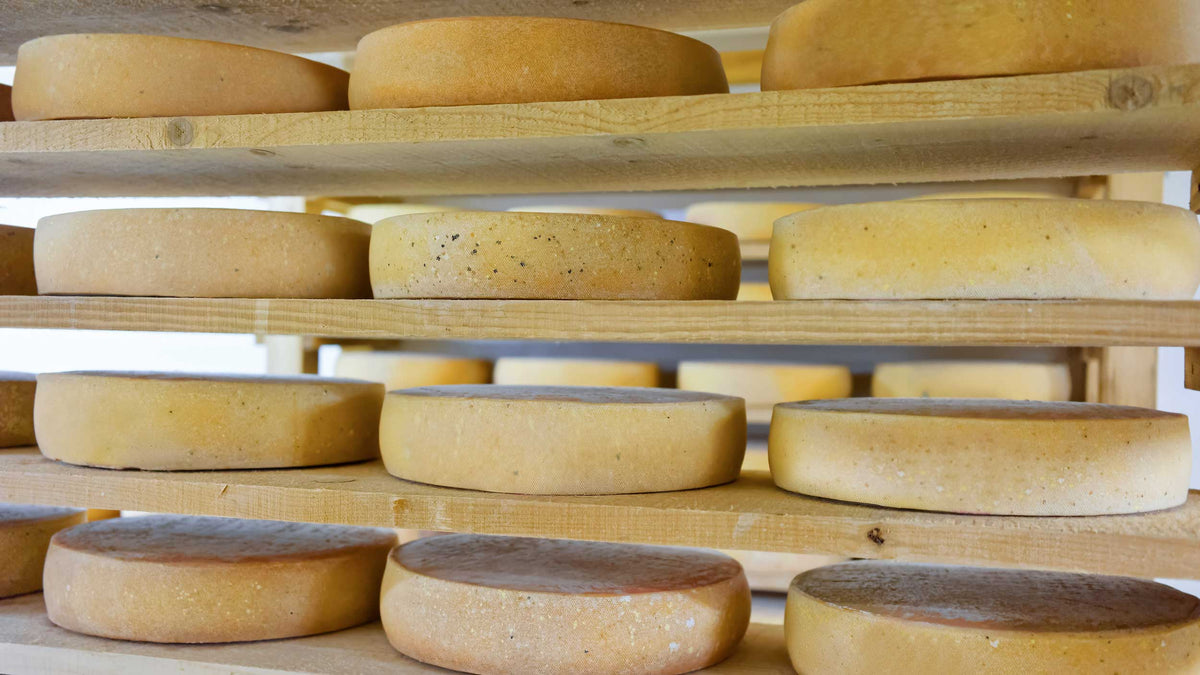 Bandaging Cheddar for Aging | Cheese Making Supply Co.