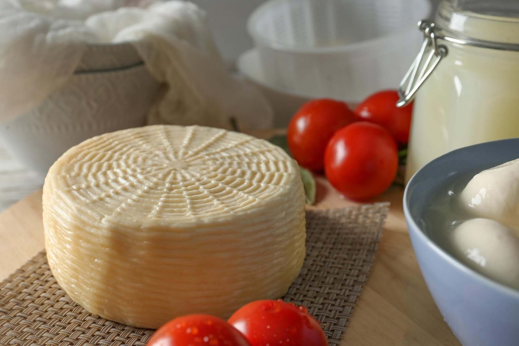 Parmesan Style Cheese Recipe Make Cheese
