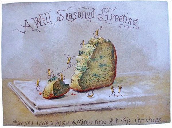 Why Cheese Mites Understanding the Role in Cheese