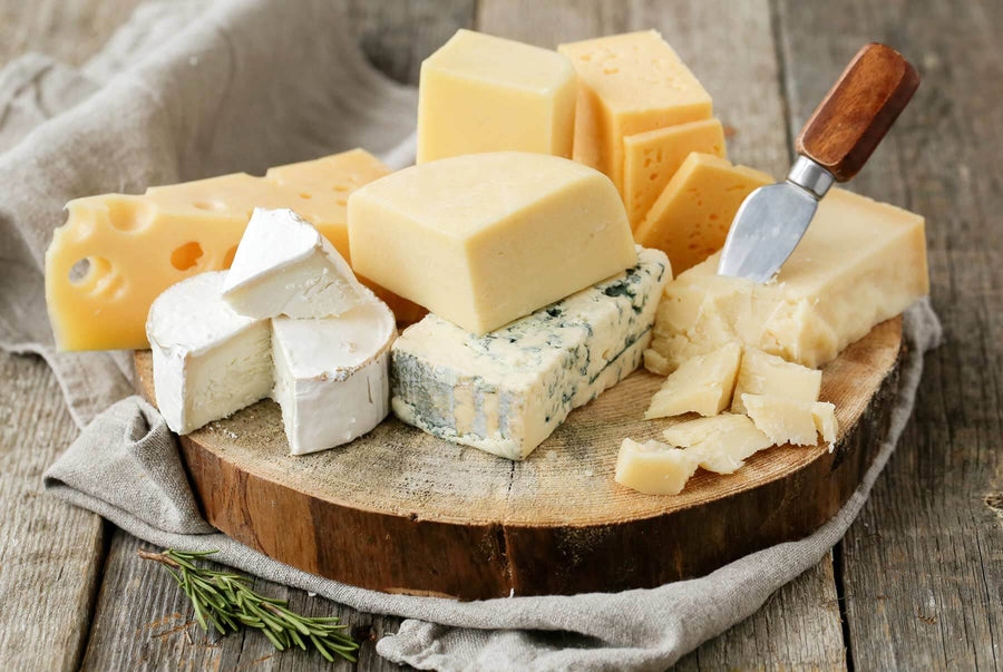 Cheese Making Recipes | How to Make Cheese | Cheese Making