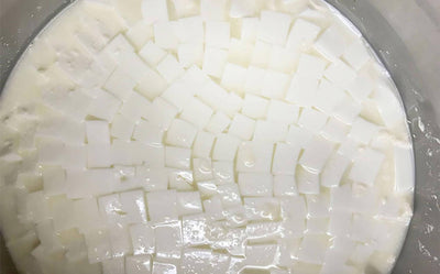 Rennet for Cheese Making | How to Make Cheese | Cheese Making