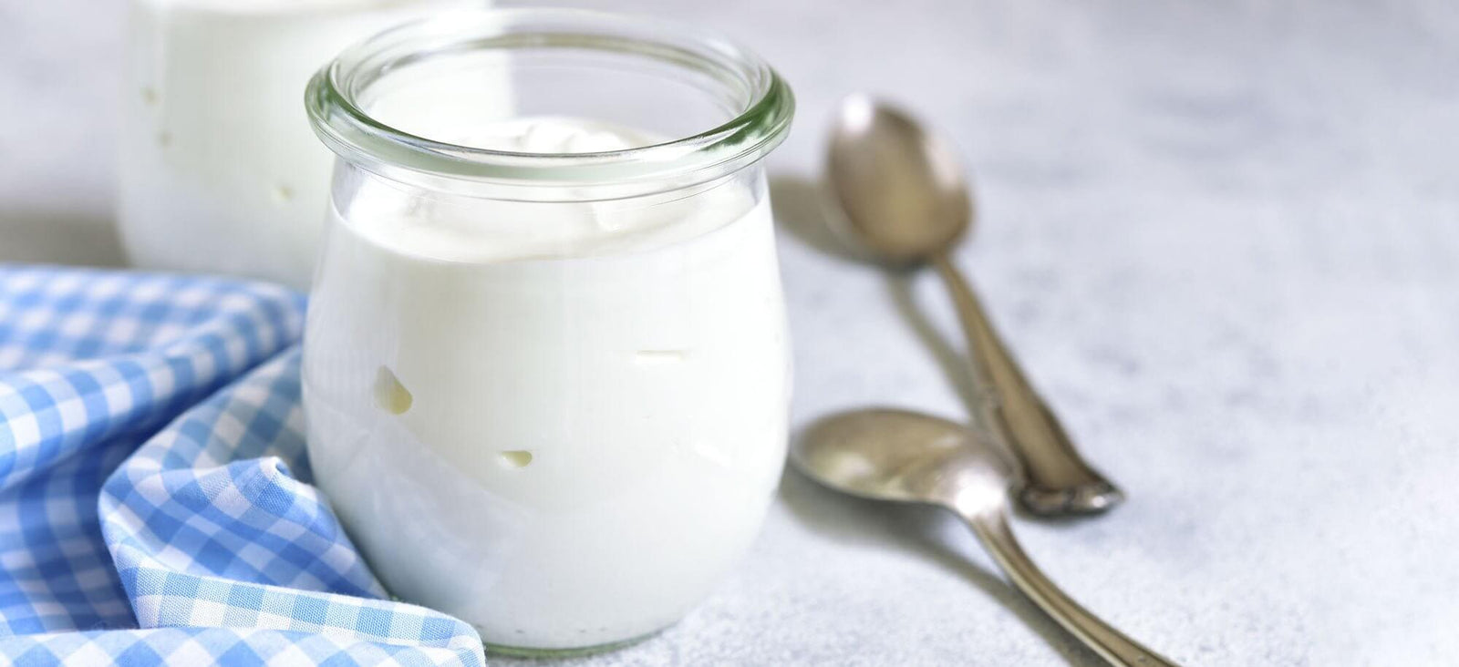 Yogurt and Butter Making Supplies | Cheese Making Supply Co.