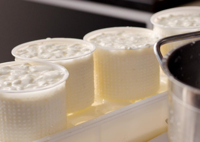 Learn How to Make Cheese | Recipes, FAQ & Support