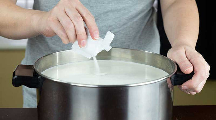 Learn About Ingredients for Cheese Making