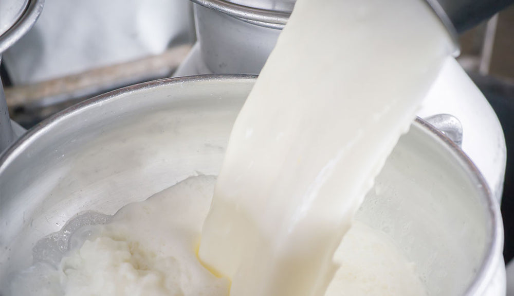 Learn About Ingredients for Cheese Making