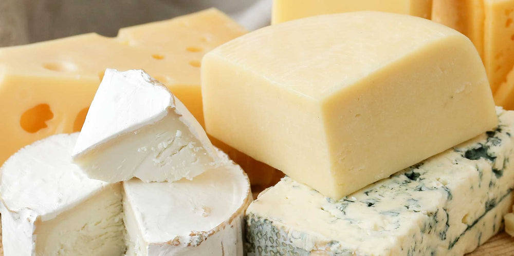 Cheese Making Recipes How to Make Cheese