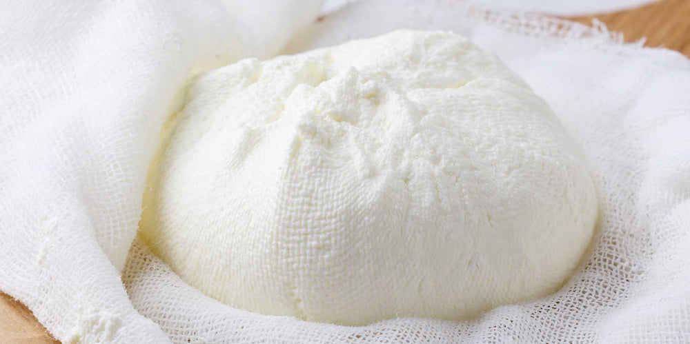 Learn How to Make Cheese | Recipes, FAQ & Support