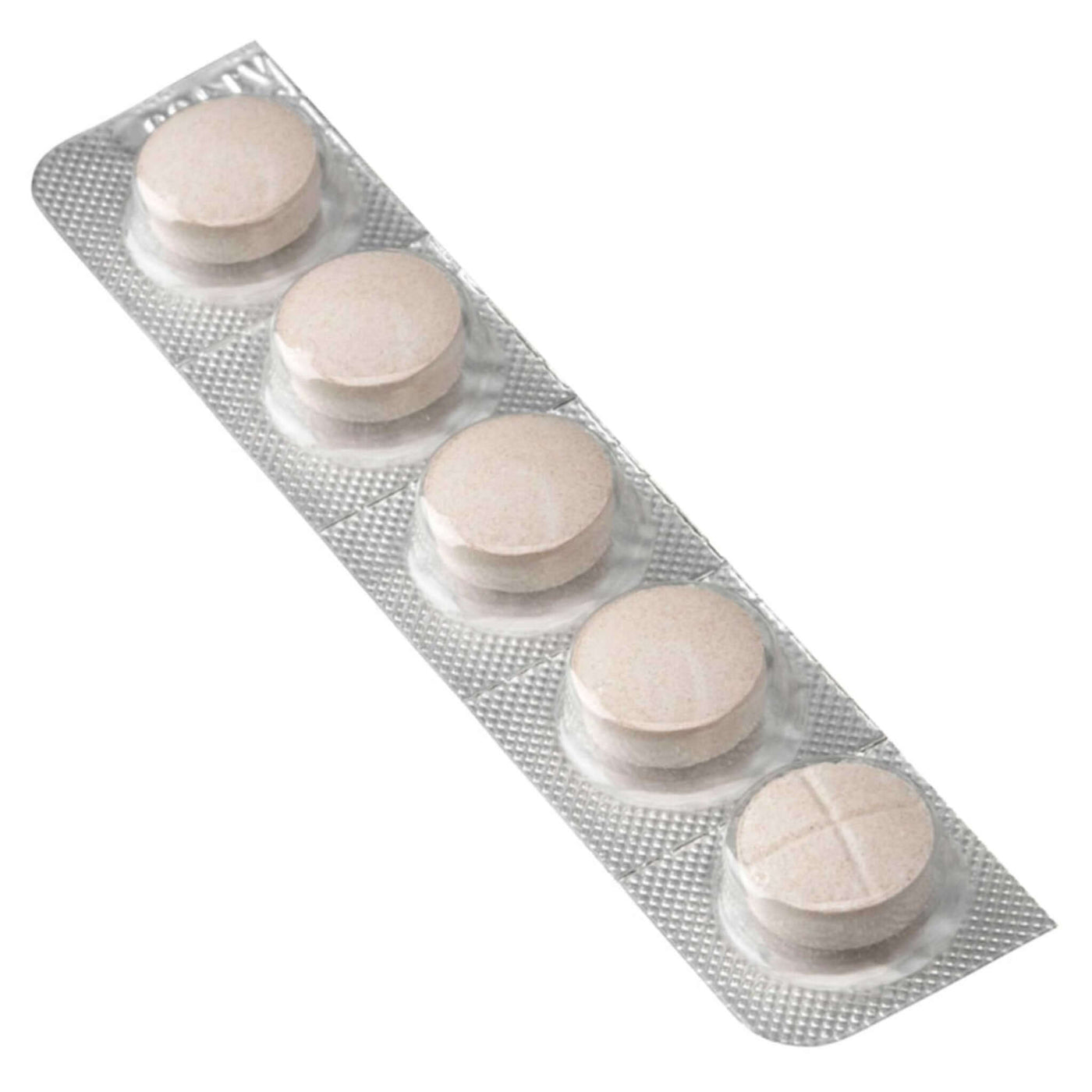 Ricki's Cheese Making Kit | How to Make Cheese | Cheese Making