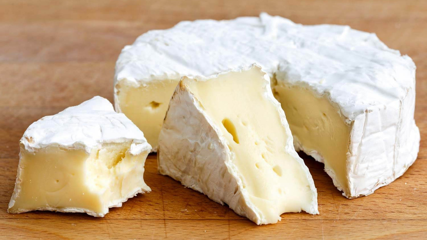 Brie Cheese Recipe | Cheese Maker Recipe | Cheese Making