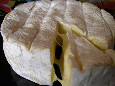 Camembert Recipe | Cheese Maker Recipe | Cheese Making