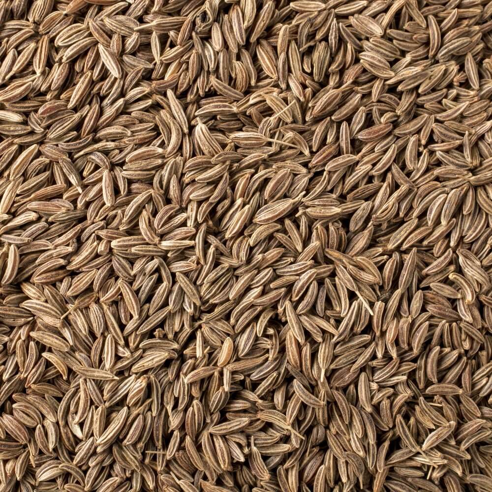 Caraway Seeds | How to Make Cheese | Cheese Making Supply Co