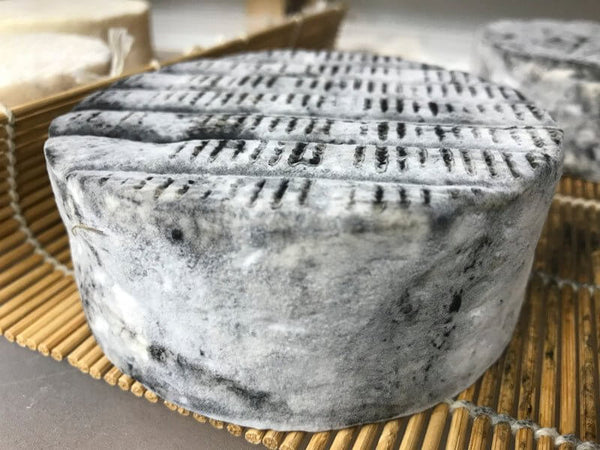 Successful Aging Cheese | Cheese Workshop | Cheese Making
