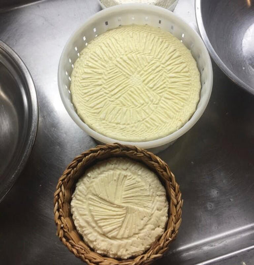Successful Aging Cheese | Cheese Workshop | Cheese Making