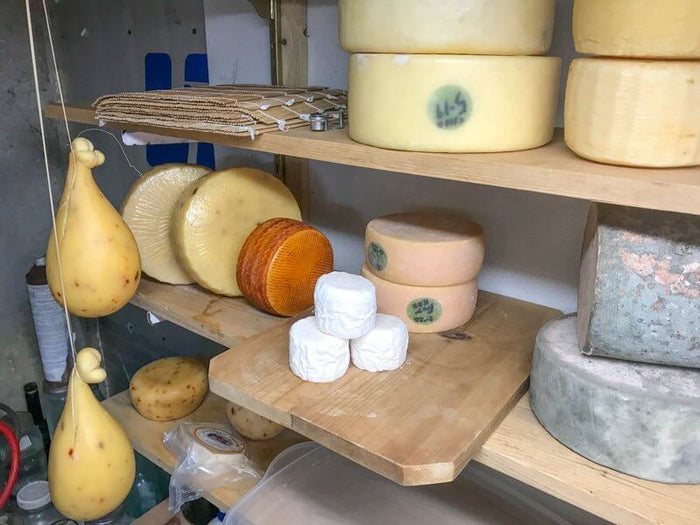 Successful Aging Cheese | Cheese Workshop | Cheese Making