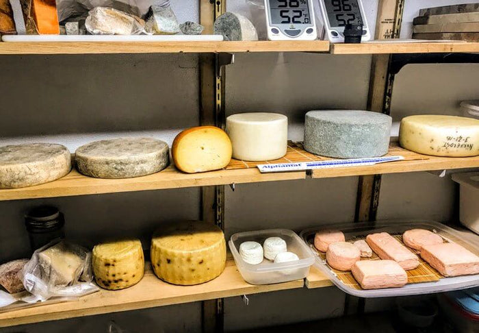 Successful Aging Cheese | Cheese Workshop | Cheese Making