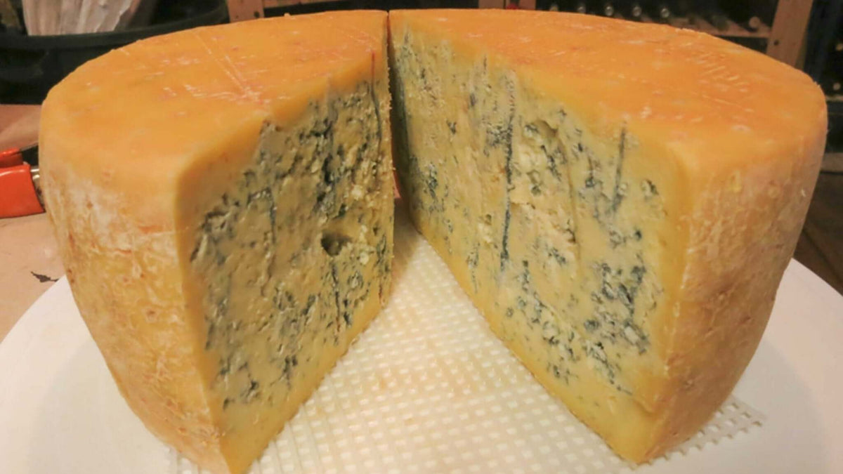 Giacomos Blue Cheese Recipe for Cheesemakers