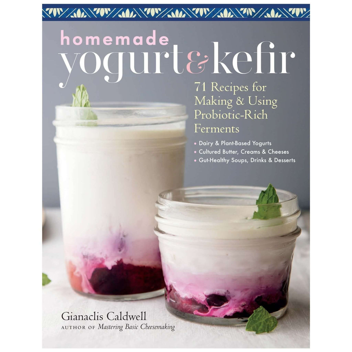 Homemade Yogurt and Kefir Book