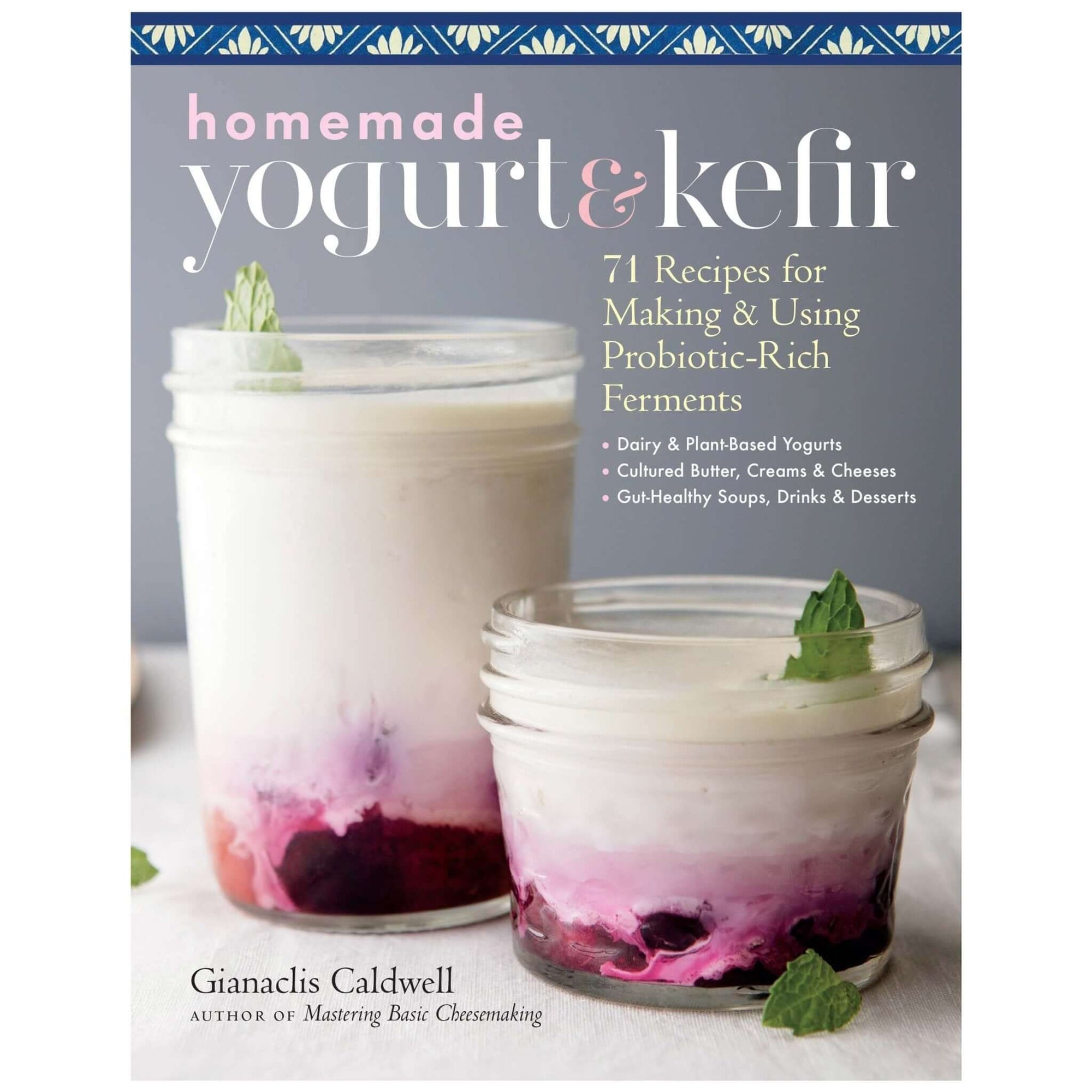 Homemade Yogurt and Kefir Book