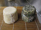 Lactic Cheese Recipe | Make Cheese | Cheese Making Supply