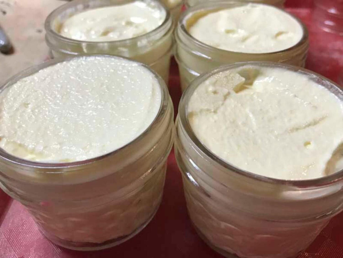 Petit Suisse Recipe Creamy French Cheese Making