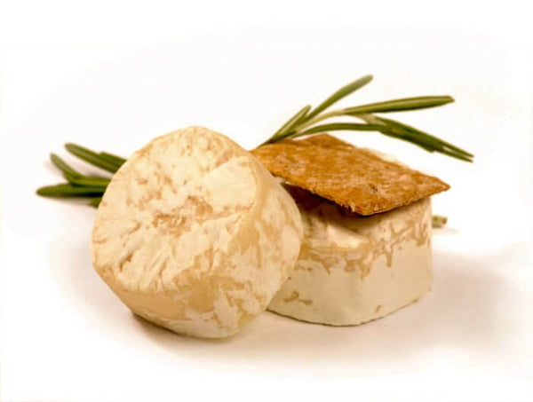 Saint Marcellin Cheese Making Recipe | Cheese Making Supply