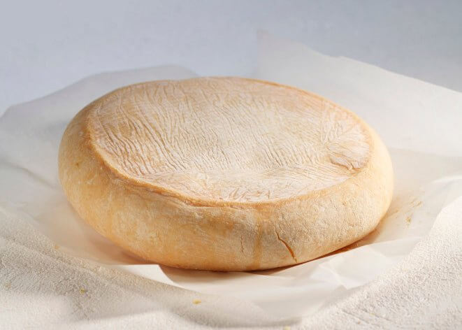 Washed Rind Monks Cheese Making Recipe | Cheese Supply Co.